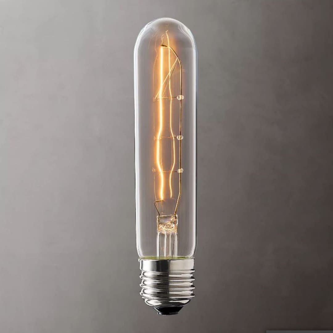 T10 Long Filament Light Bulb. We Use These in Millerlights Cage ...