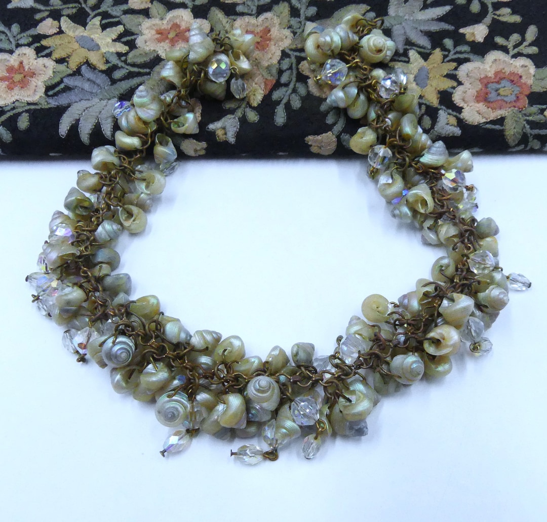 Antique Brass Tone Chain & 136 Victorian Tasmanian Mariner Sea Shell ...