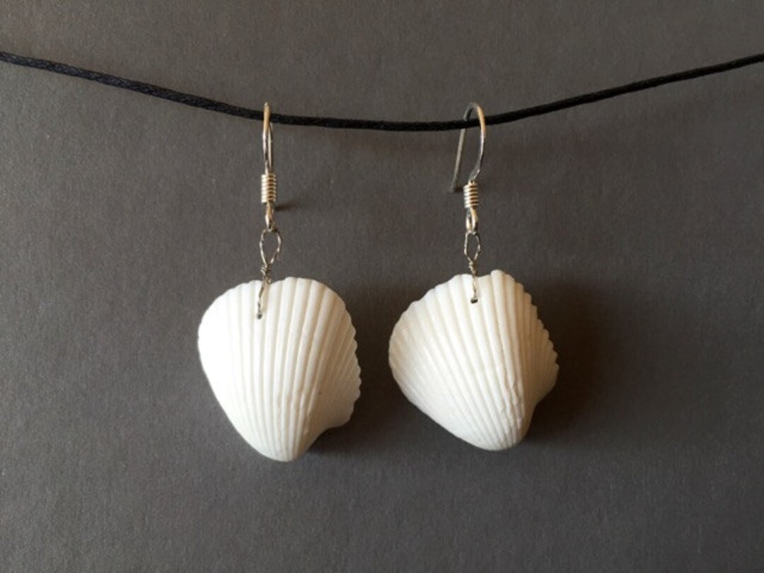 Puerto Rican Shells - Etsy