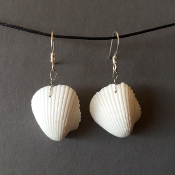 Puerto Rican Shells - Etsy