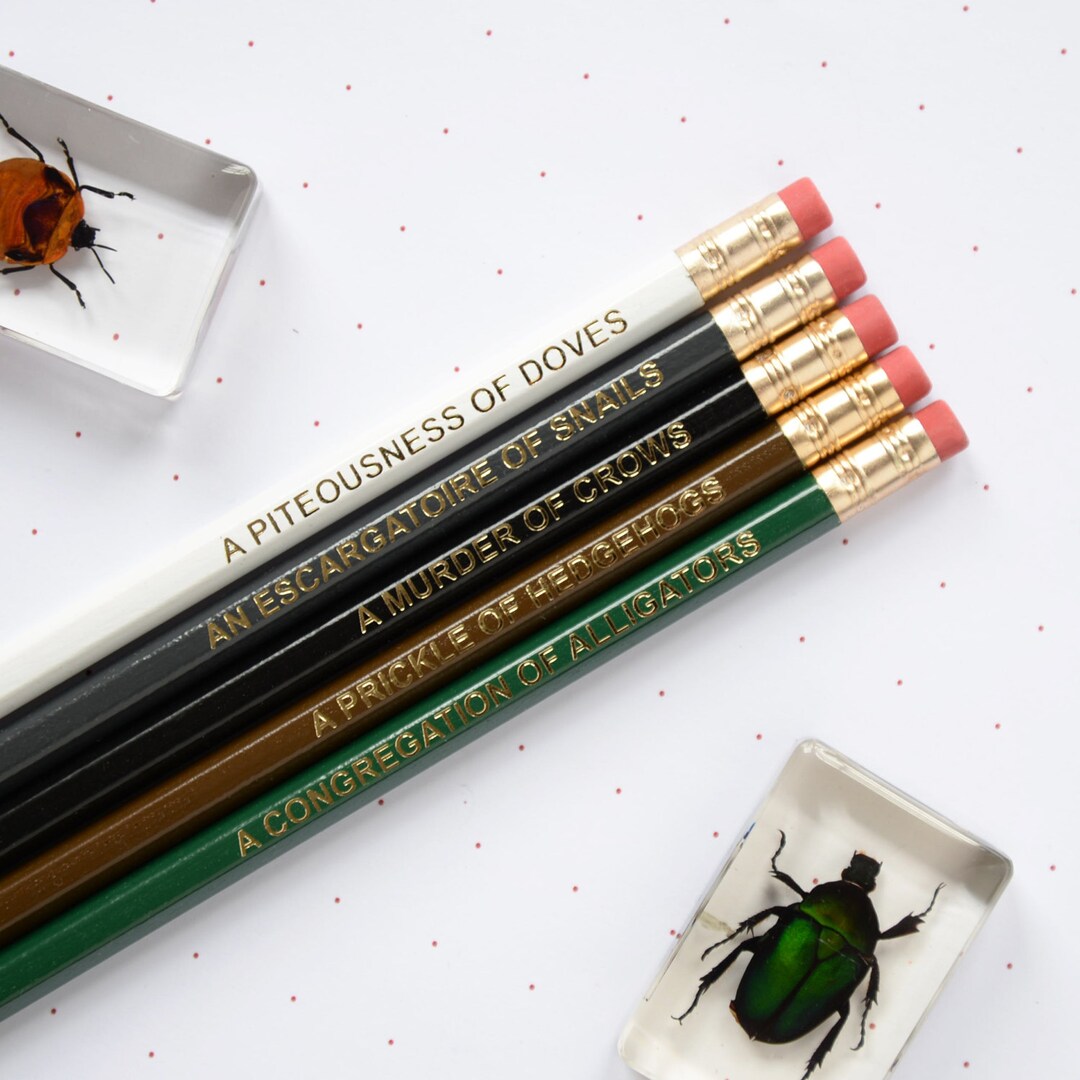 DARK ANIMAL NOUNS Pencil Set Collective Grammar Pencils Back to School ...