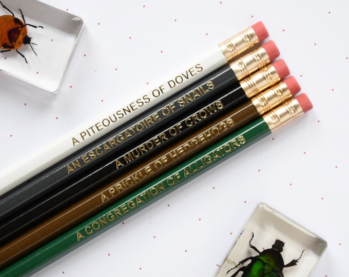 Back to School SCIENCE PENCILS WHITE Set Scientific Purposes - Etsy
