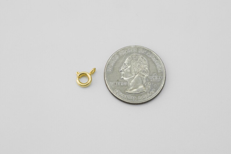 6mm Spring Clasp W/ Close Loop Brass Nickel Free Spring - Etsy