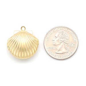 Scallop Shell Locket Pendant, Q8-G10, Ocean Themed, 1 Piece, 22x24mm ...