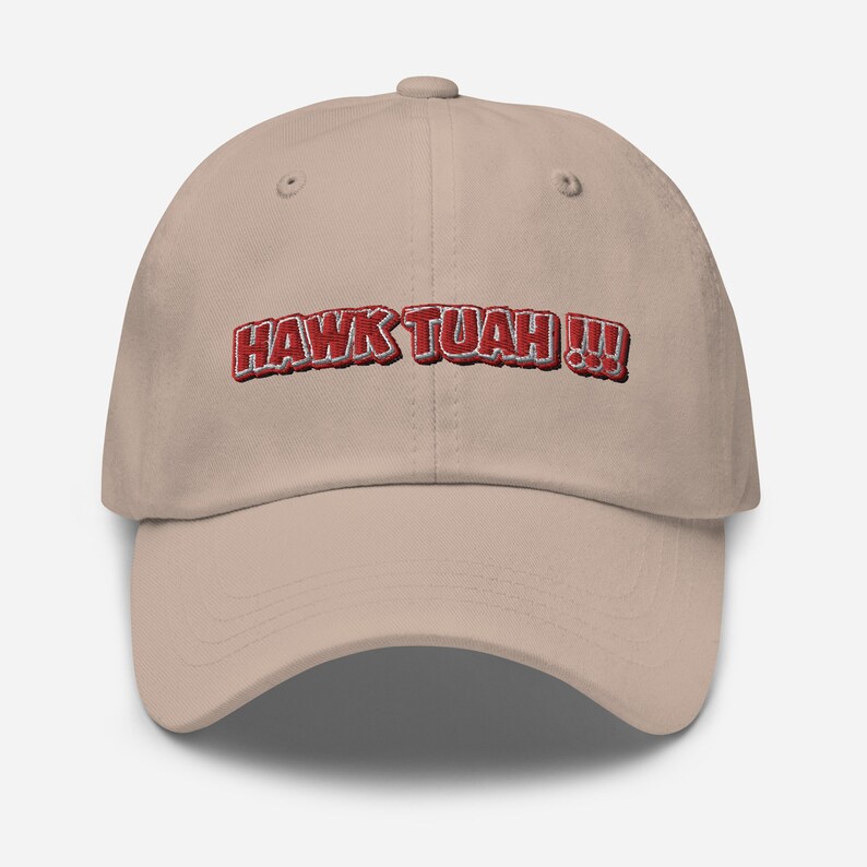 Hawk Tuah Premium Dad Hat Spit on That Thing - Etsy