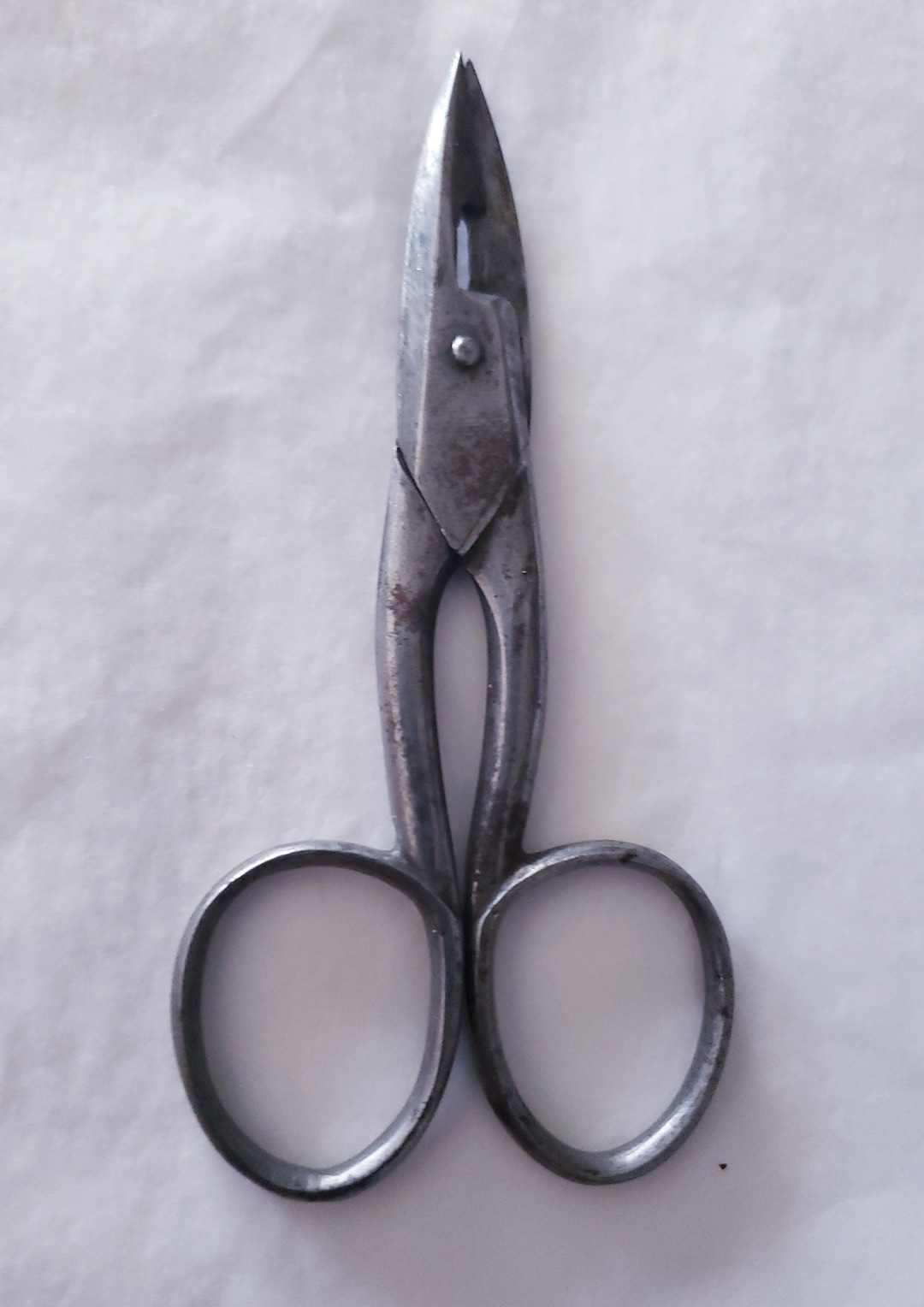 Antique / Vintage Buttonhole Scissors, Looks Like Canterbury Stamped ...