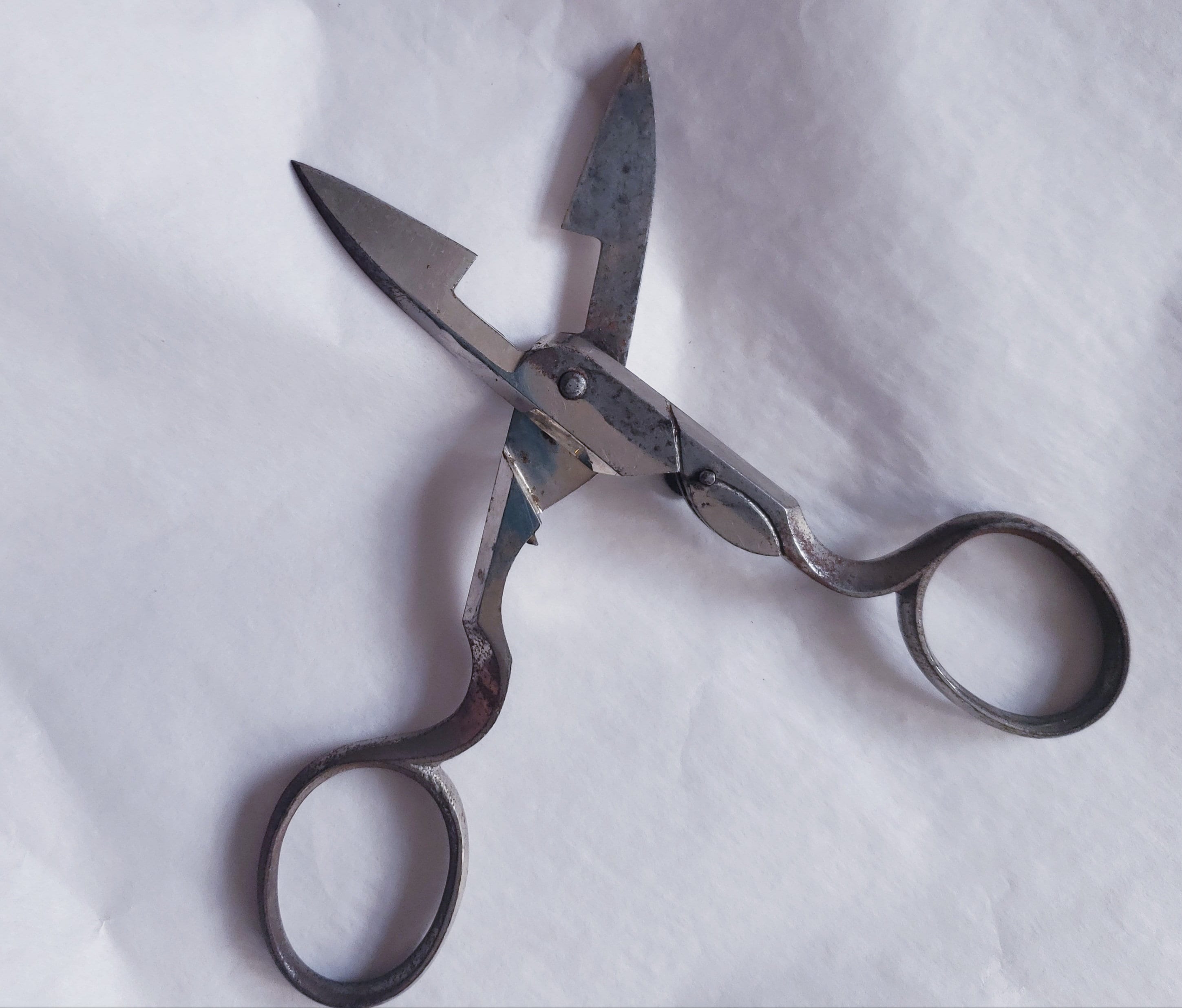 Antique / Vintage Buttonhole Scissors, Germany - Etsy