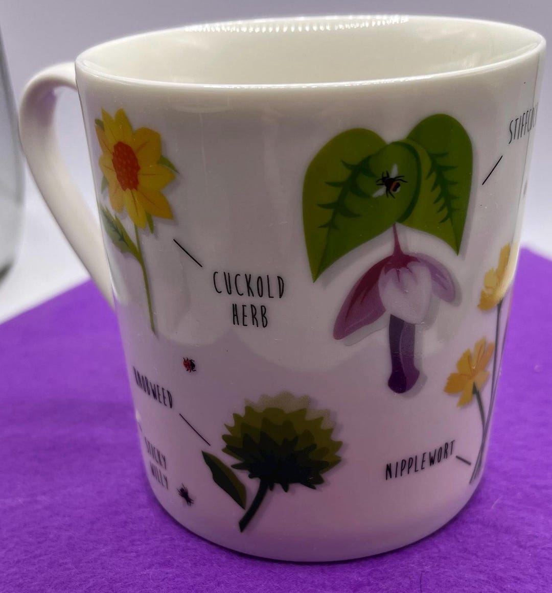 Ridiculously Rude Plants Gardener’s Mug - Etsy