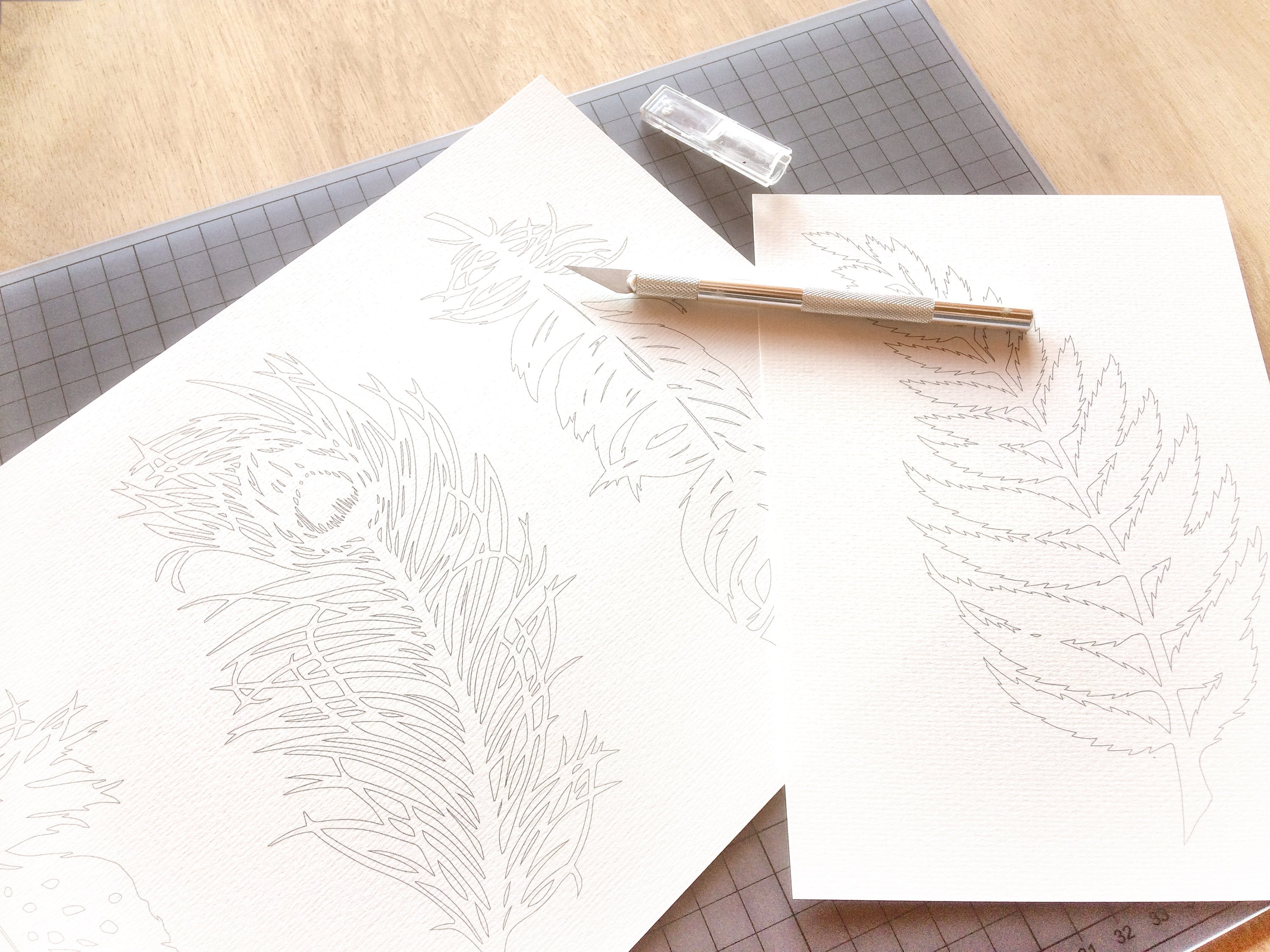 DIY Papercutting Starter Set With or Without Online Workshop ...