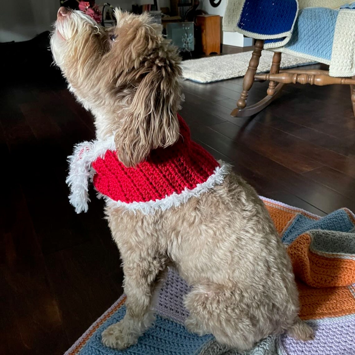 Christmas Dog Scarf Crochet Pattern: PDF Download Only Holiday Dog ...