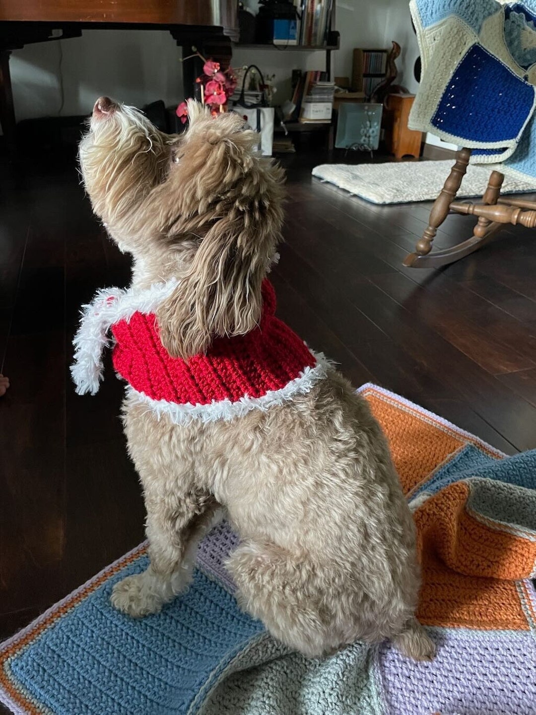 Christmas Dog Scarf Crochet Pattern: PDF Download Only; Holiday Dog ...