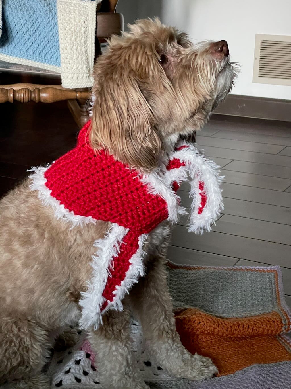 Christmas Dog Scarf Crochet Pattern: PDF Download Only Holiday Dog ...