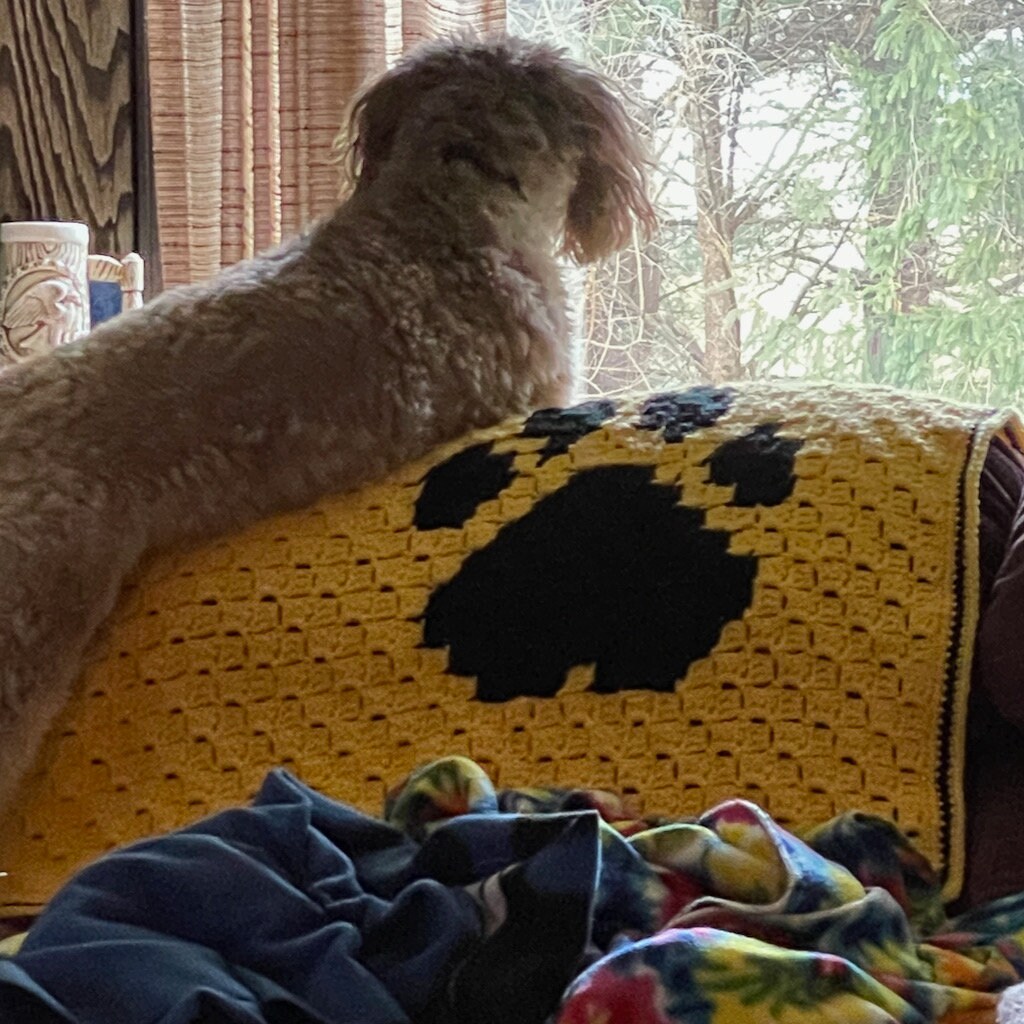 Puppy Love Dog Blanket; Crochet Pattern by Madamestitch; PDF Download ...