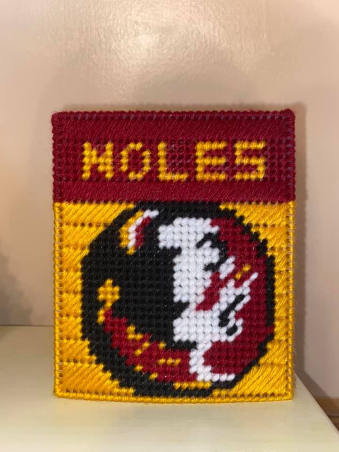 FSU Tissue Box Cover - Etsy