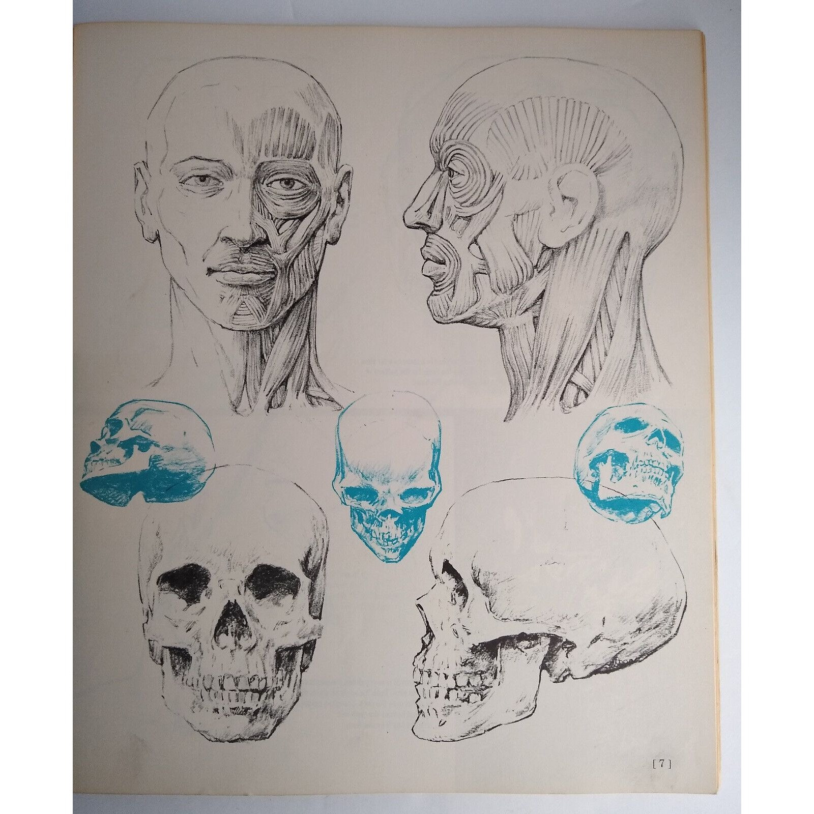 1966 Book the Art of Drawing Heads and Hands Instruction the Grumbacher ...