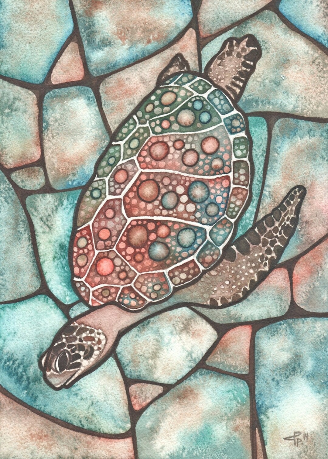 Little Sea Turtle - Print of Detailed Watercolour Art, Shell With ...