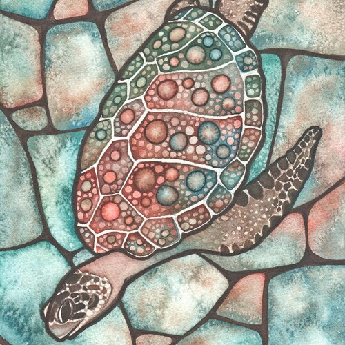 Little Sea Turtle Print of Detailed Watercolour Art Shell - Etsy