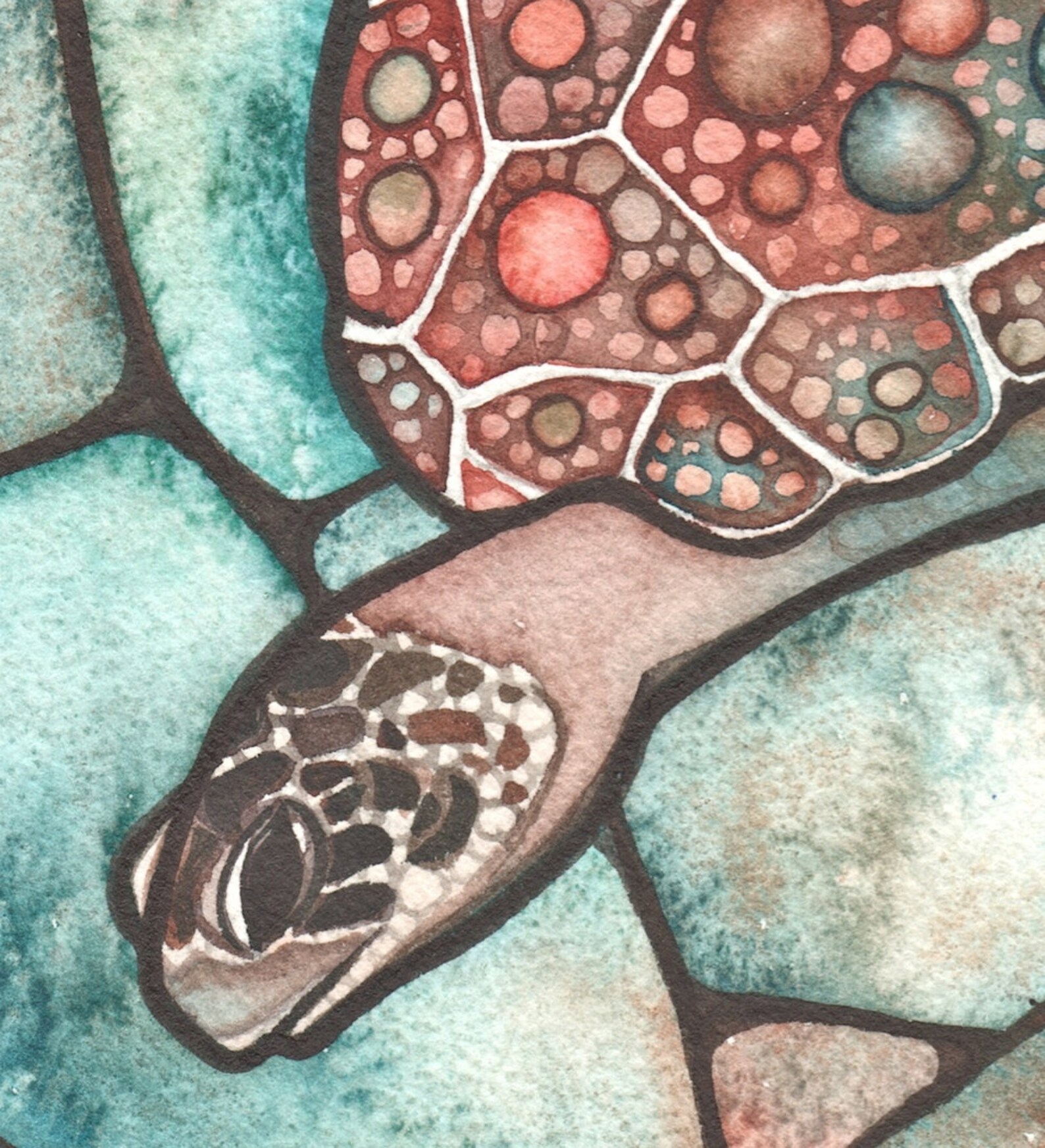 Little Sea Turtle Print of Detailed Watercolour Art Shell - Etsy