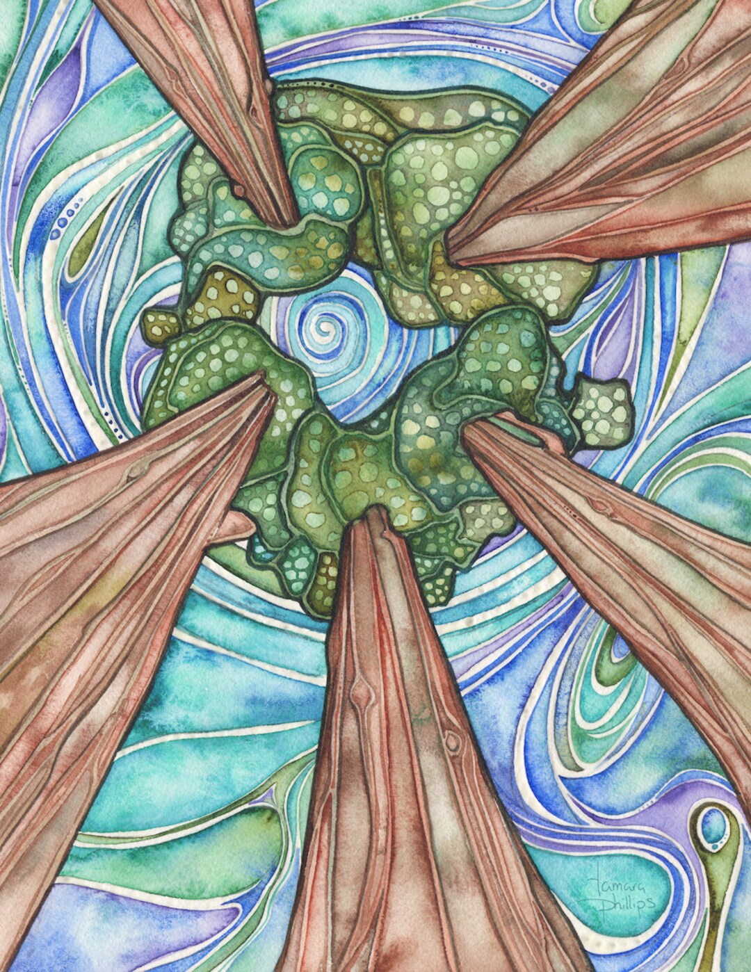 Cedar Skies - Print of Watercolour Artwork Big Tall Ancient Trees Old ...