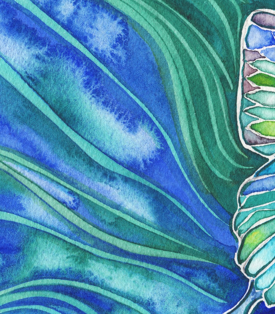 Butterfly print of watercolour artwork turquoise teal | Etsy