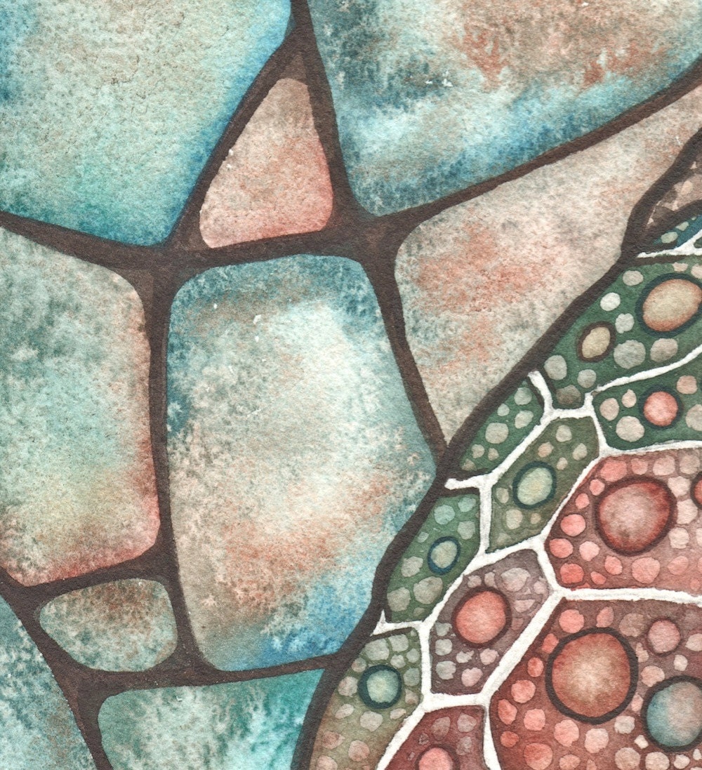 Little Sea Turtle print of detailed watercolour art shell | Etsy
