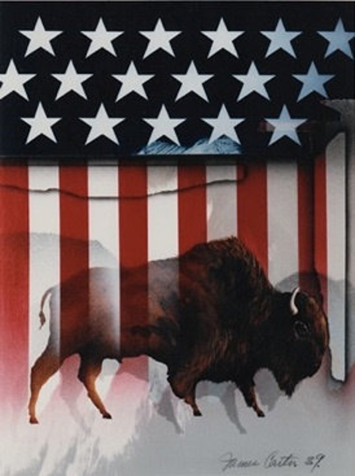 James Carter "american Buffalo" --original Lithograph 1989 - Etsy