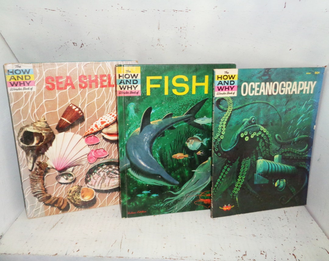 How and Why Wonder Book of Oceanography 1964 SC, Sea Shells 1961 HC ...