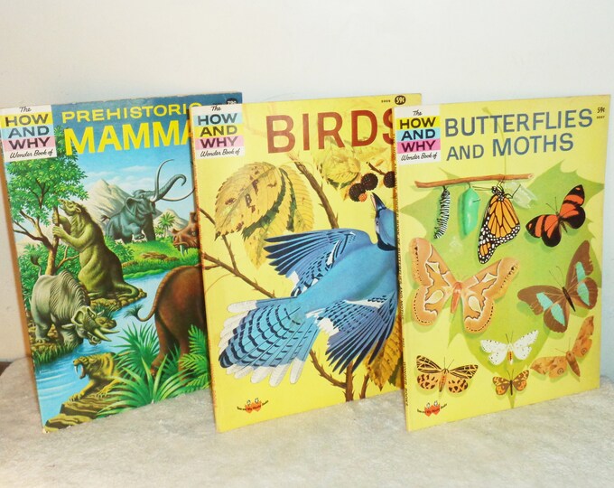 How & Why Wonder Books 3 Vintage SC~ Prehistoric Mammals, Birds ...