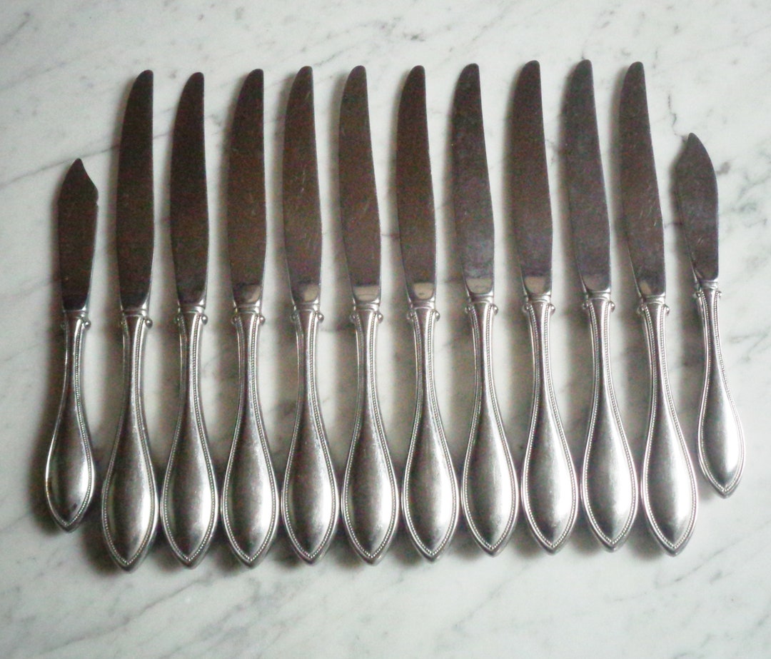 Stainless by Oneida Beaded Arbor American 10 Dinner Knives 2 Butter ...