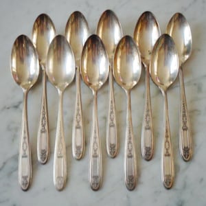Community Silver Plate Grosvenor Pattern 6 1/8 Inch Set of 10 Teaspoons ...
