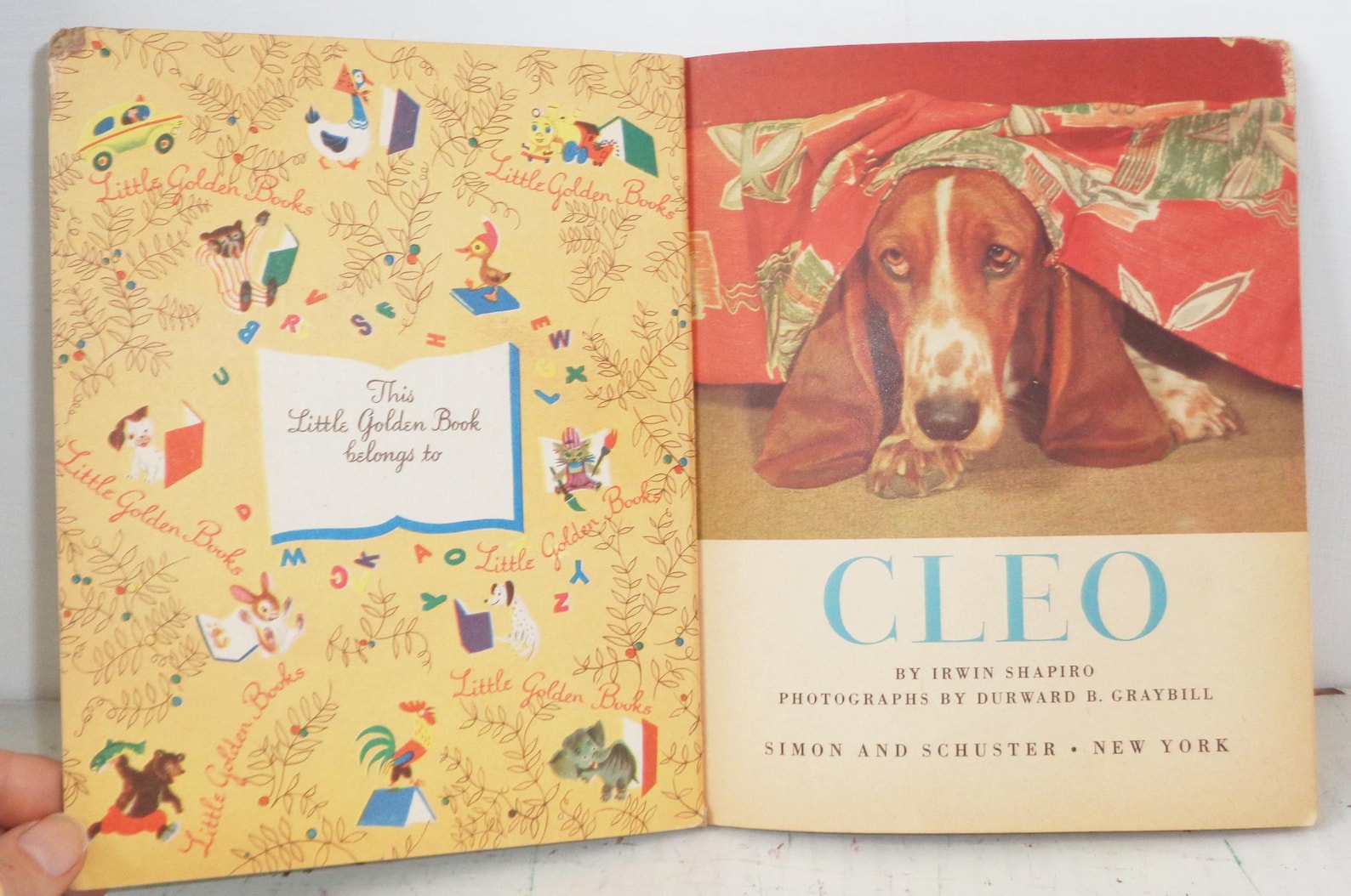 Cleo the Basset Hound Little Golden Book 25c #287 1957 "a" Edition ...
