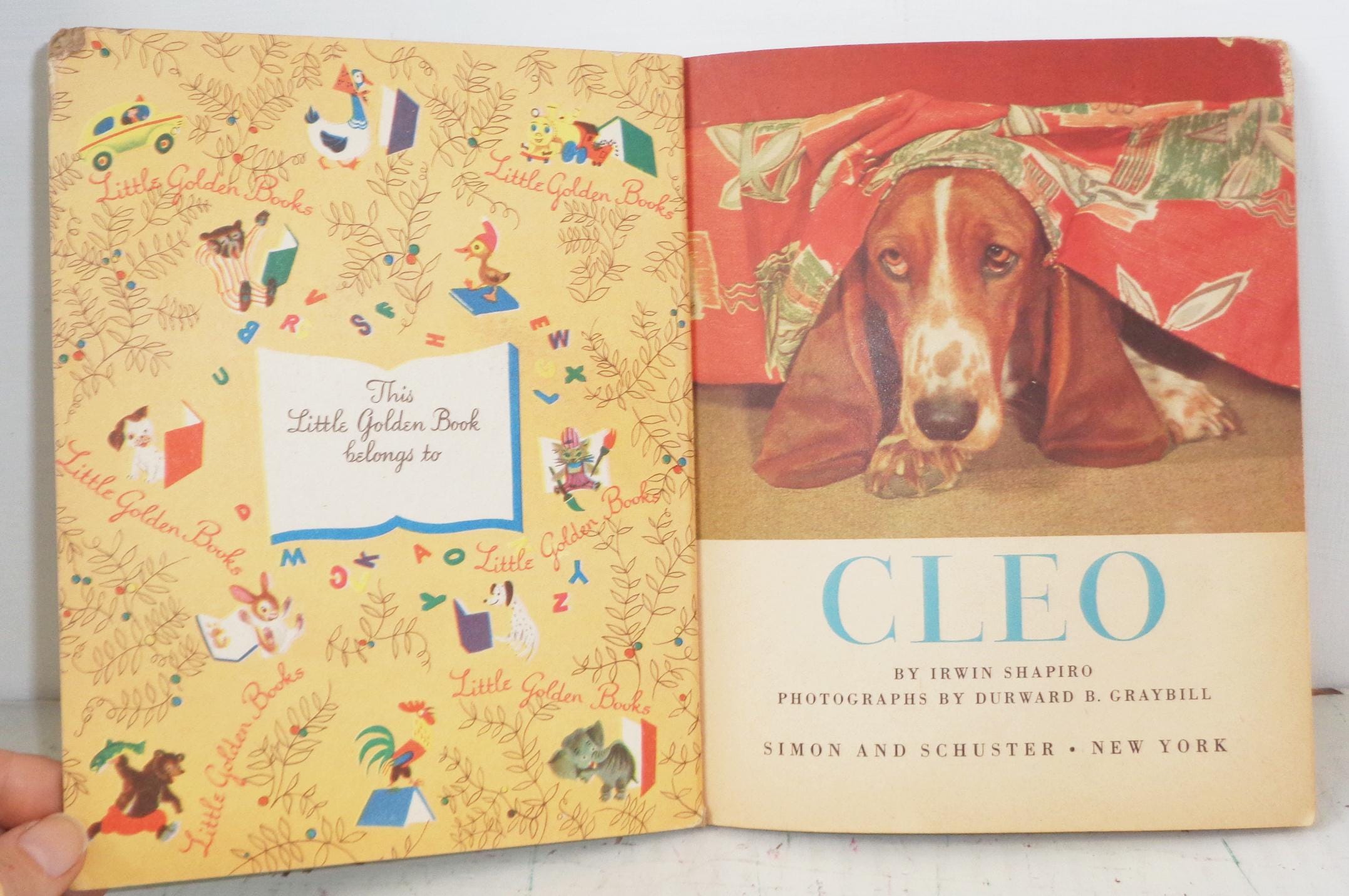 Cleo the Basset Hound Little Golden Book 25c #287 1957 "a" Edition ...