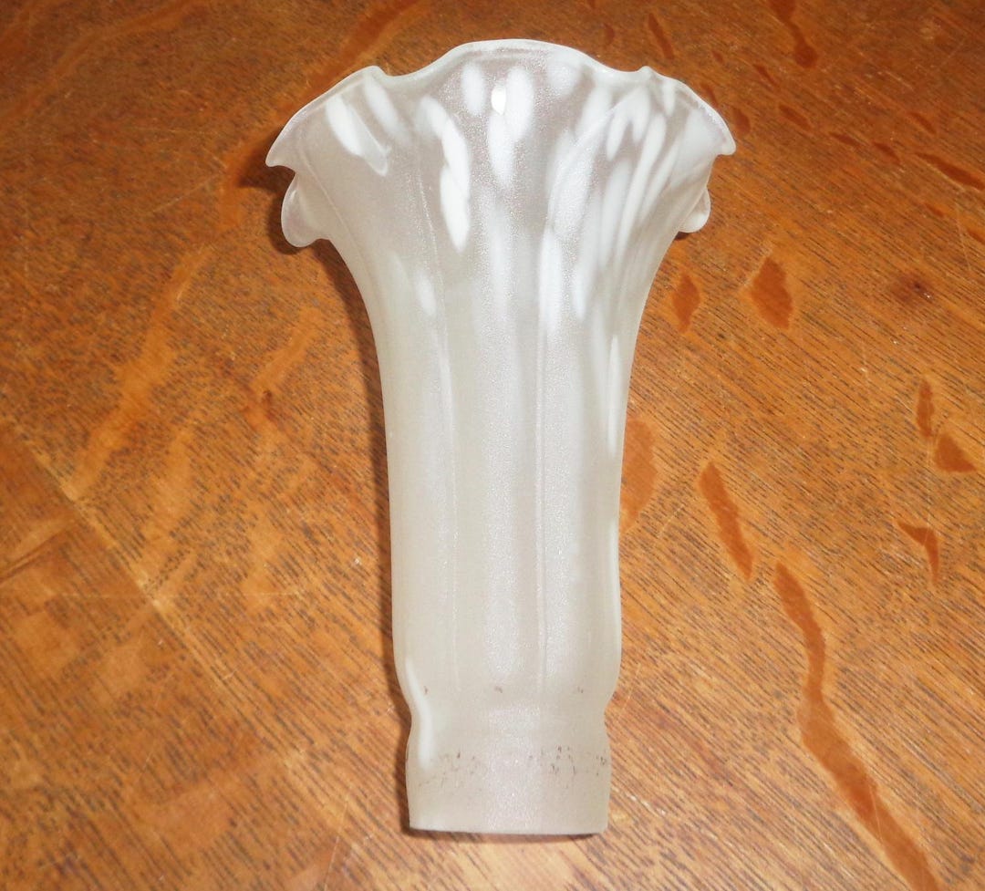 Murano Tiffany Style Glass Tulip Trumpet Lily Lamp Shades Clear White ...