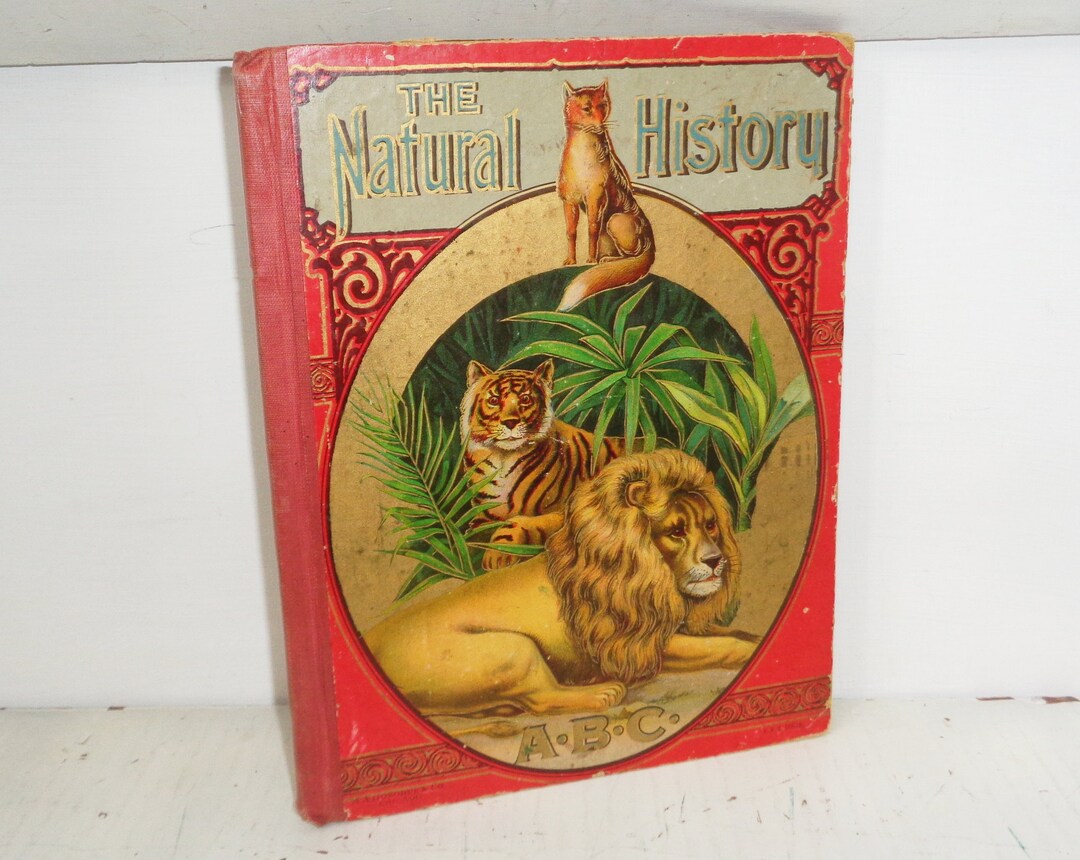 Natural History ABC Series Profusely Illustrated Antique HC Book Early ...