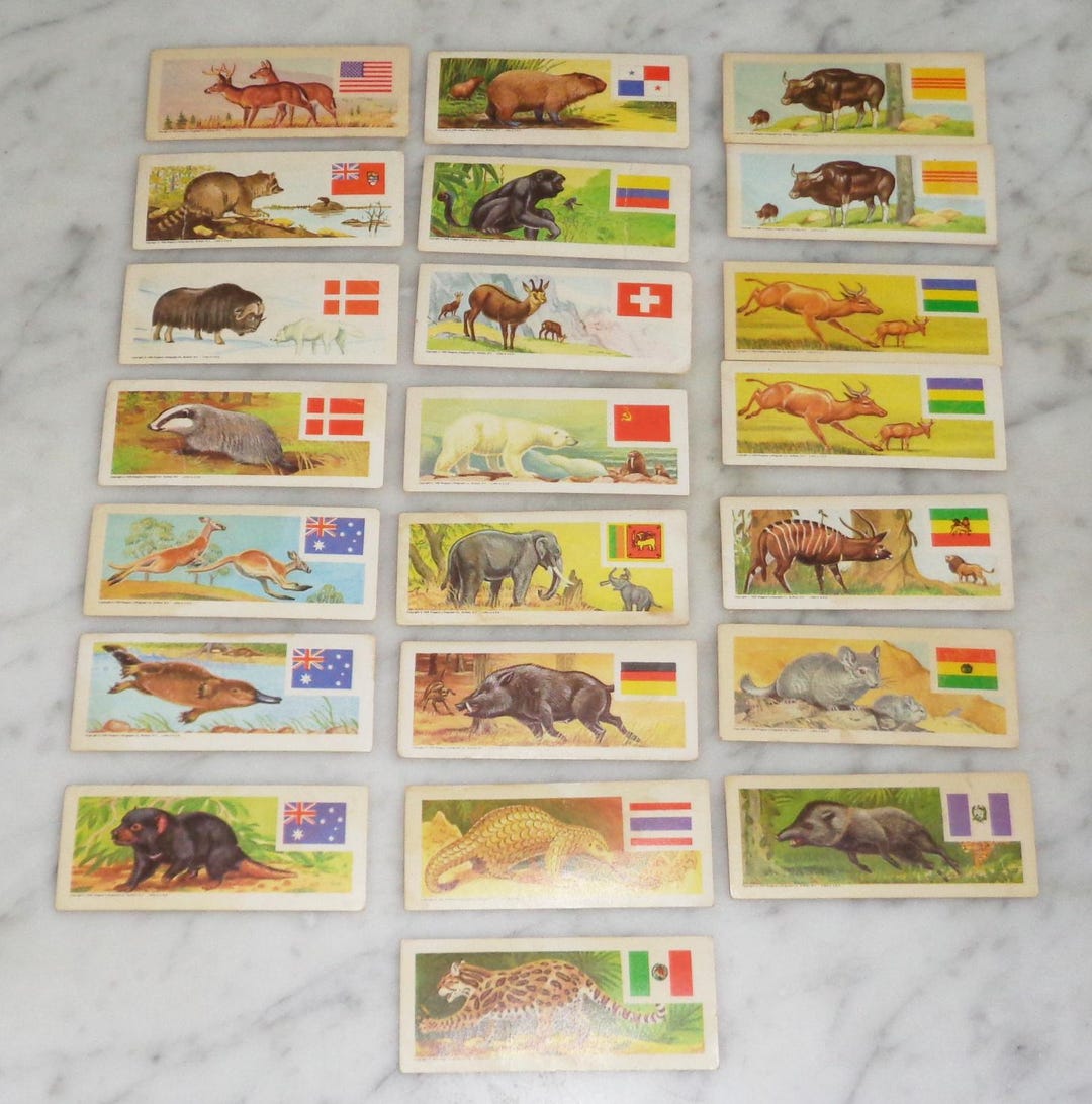 1965 Animals & Flags Cards: Welch's Sugar Daddy Series 3 (22 of 50) - Etsy
