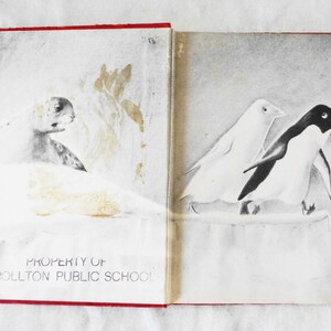 1939 the Penguin Twins by Jane Tomkins Xlibrary Hardcover Book - Etsy