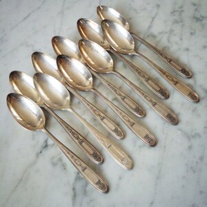 Community Silver Plate Grosvenor Pattern 6 1/8 Inch Set of 10 Teaspoons ...