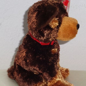 2003 Ty Beanie Babies Amigo Dog Birthday August 3, 2003 W Error Tags PE ...