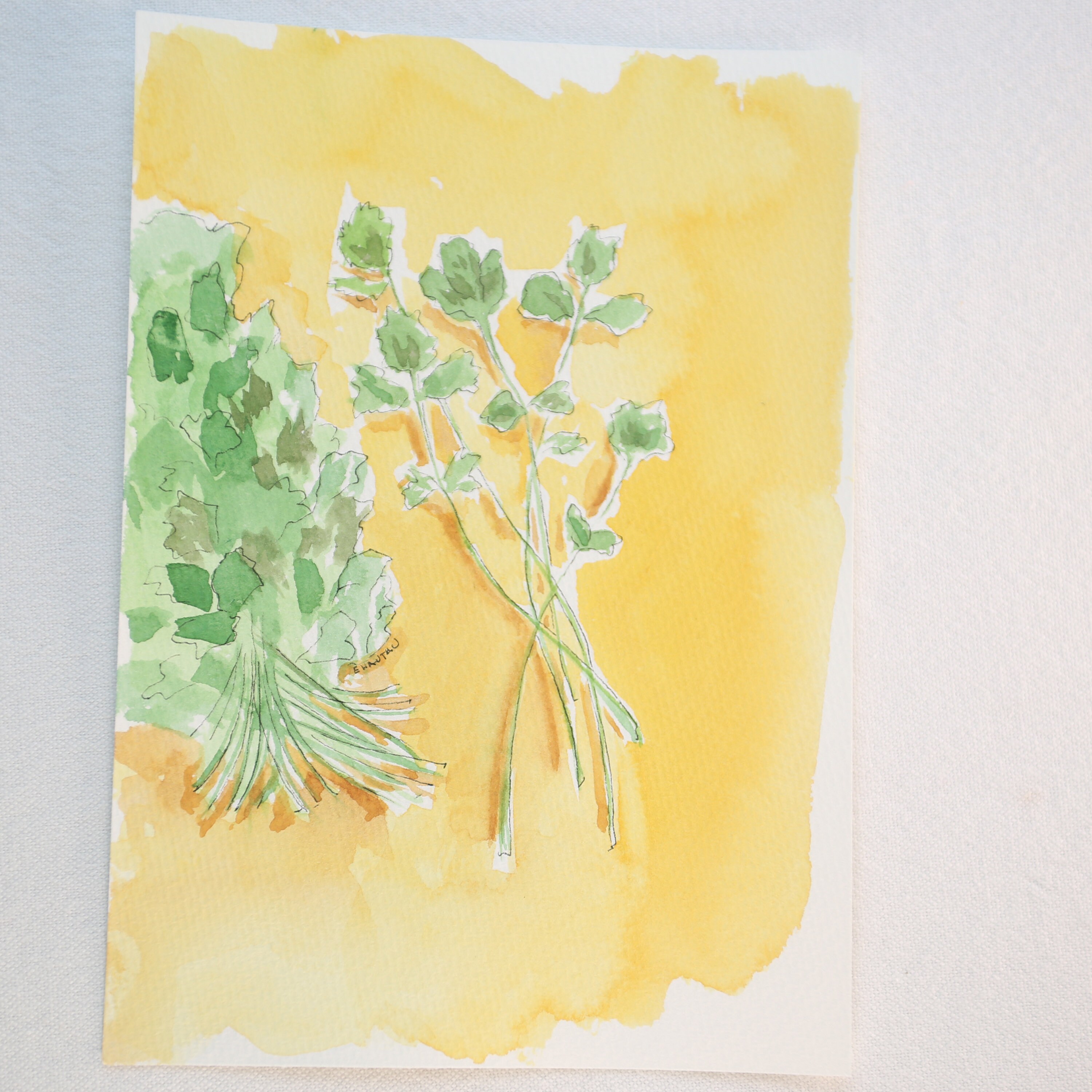 Cilantro on yellow watercolor original small art on paper | Etsy
