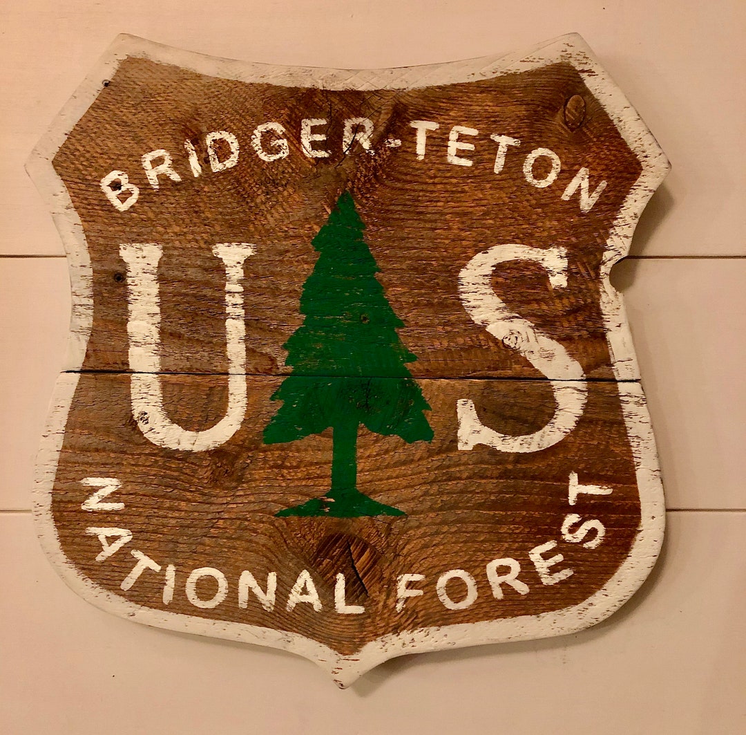 CUSTOM National Forest Sign National Forest Art Montana Art - Etsy