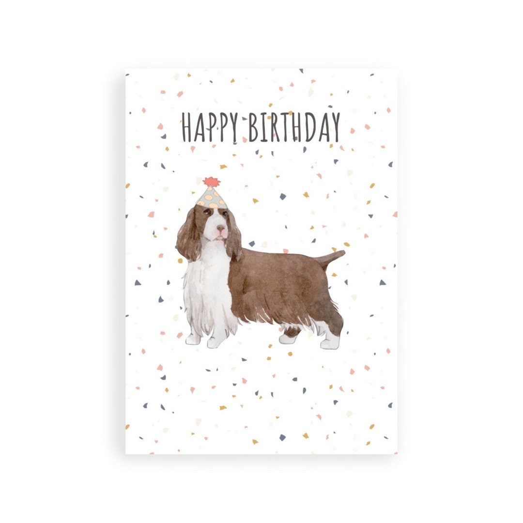 English Springer Spaniel Birthday Card // English Springer Spaniel - Etsy