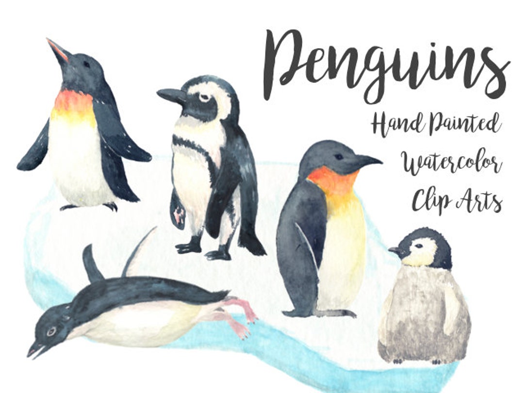 Penguins Watercolor Clipart Digital File Baby Shower Download ...
