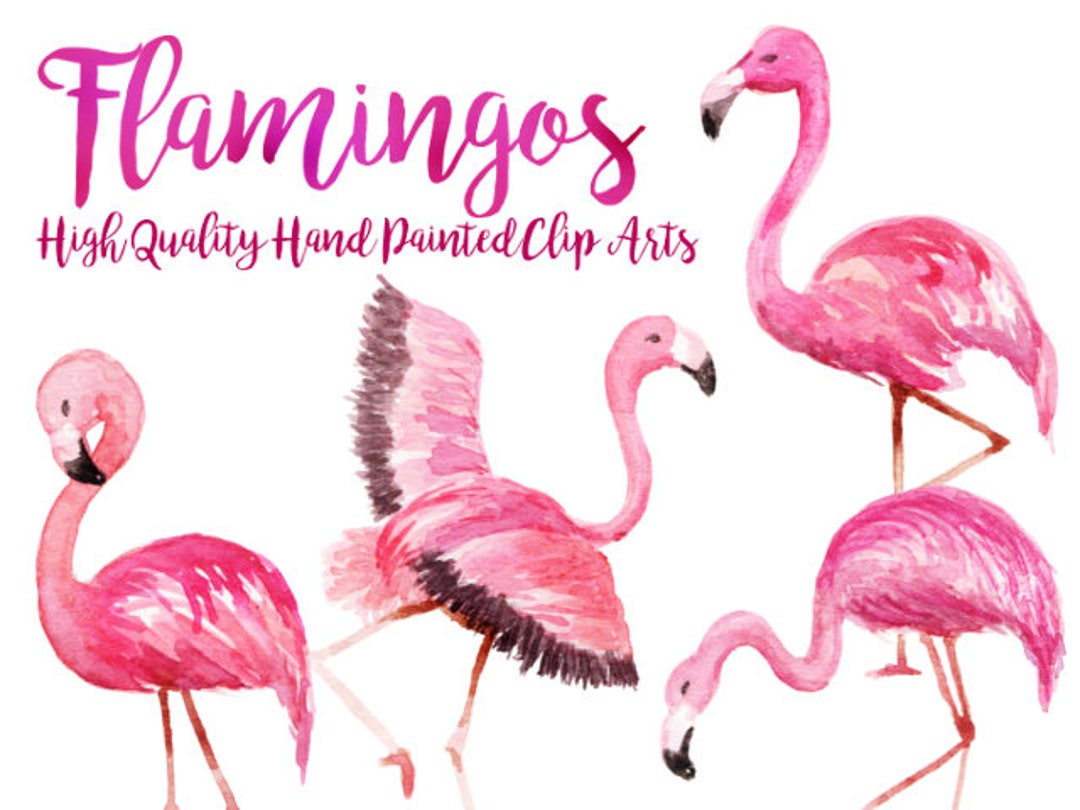 Pink Flamingo Watercolor Cliparts Tropical Scrapbook Digital File ...