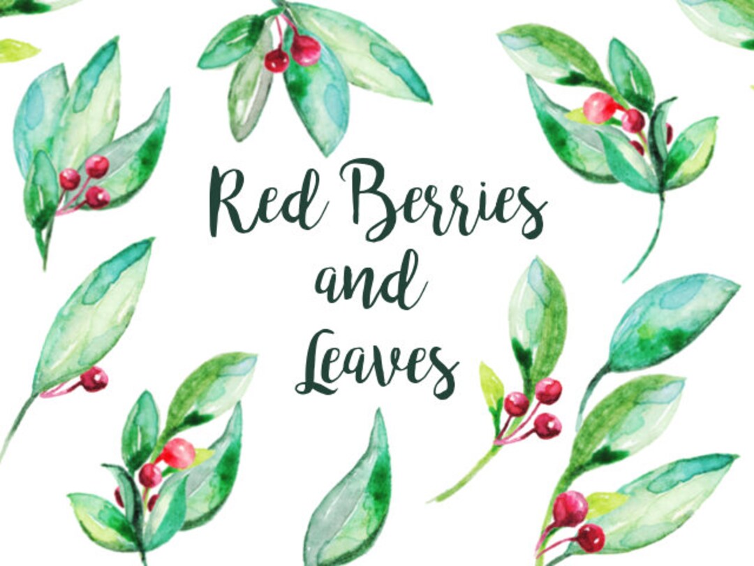 Red Berries & Leaves Floral Watercolor Cliparts Digital Files Download ...