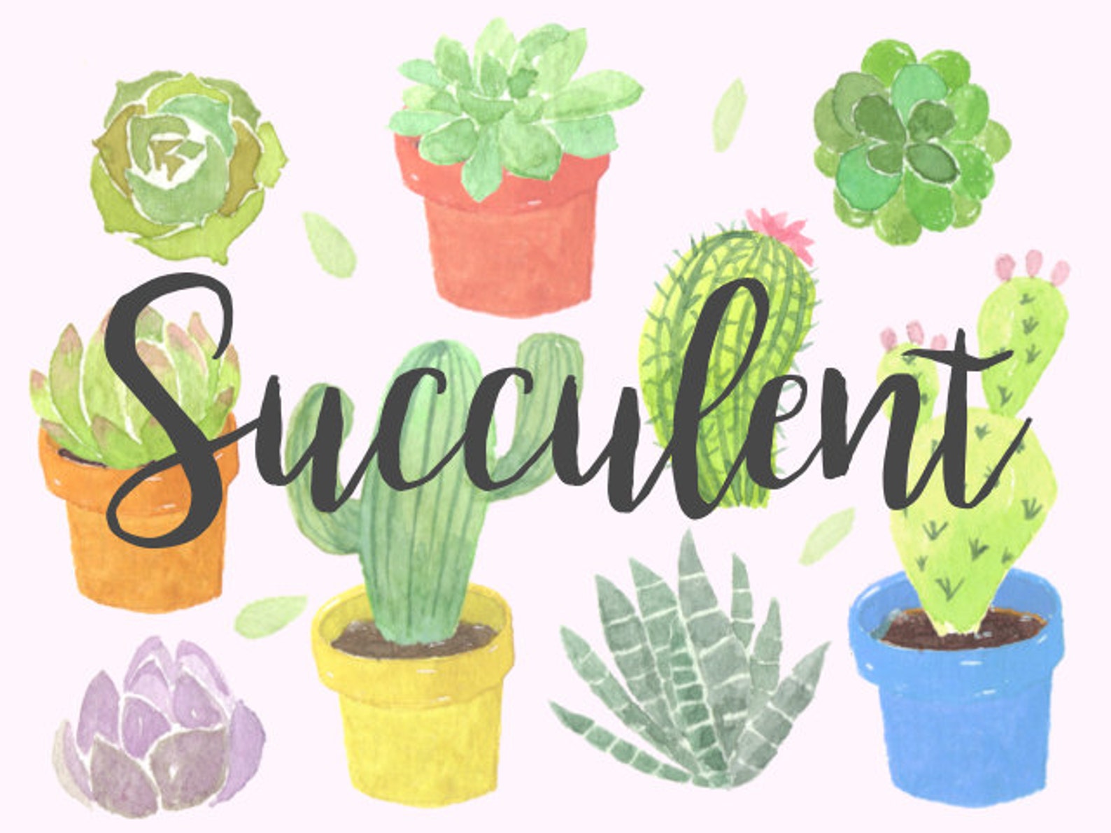 Cactus Succulent Watercolor Clipart Scrapbooking Digital Files Garden ...