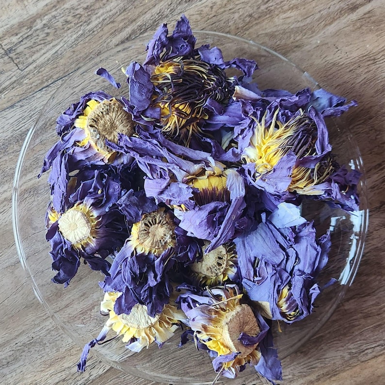 Blue Lotus Flower Tea – Naturally Caffeine-free Herbal/organic - Etsy