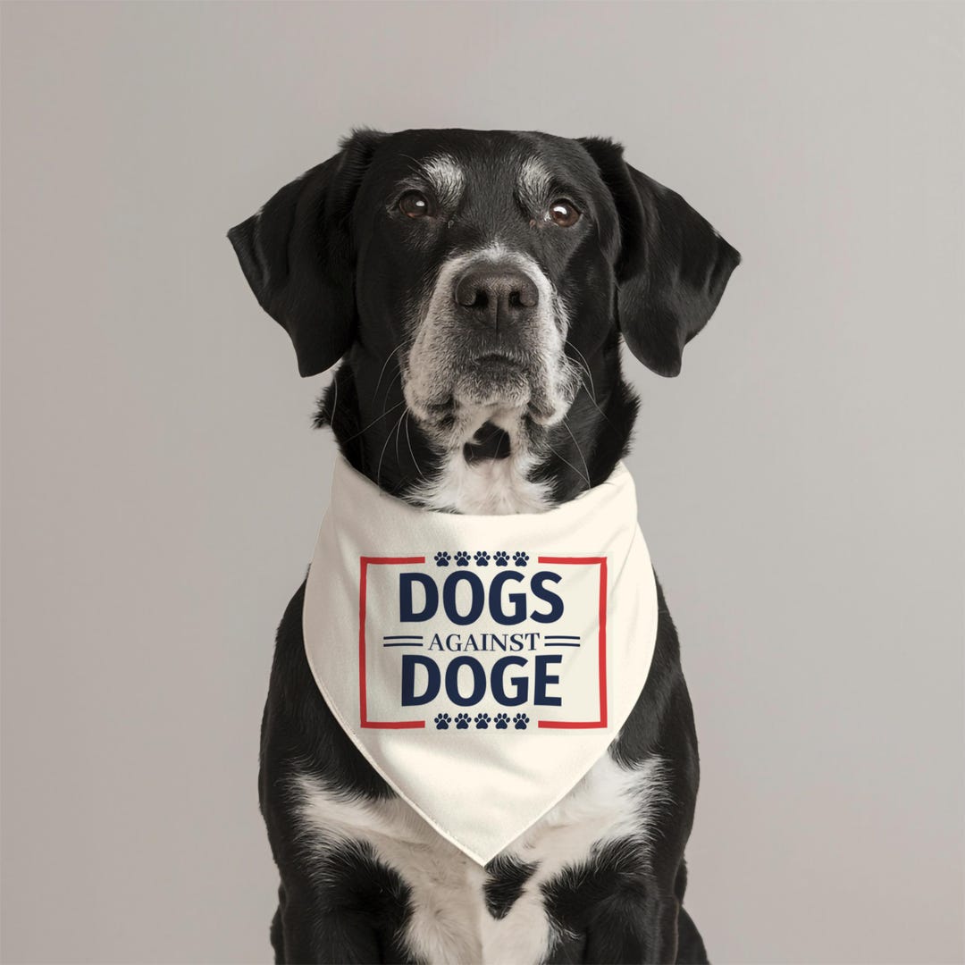 Dogs Against Doge Pet Bandana Collar: Political Pets - Etsy
