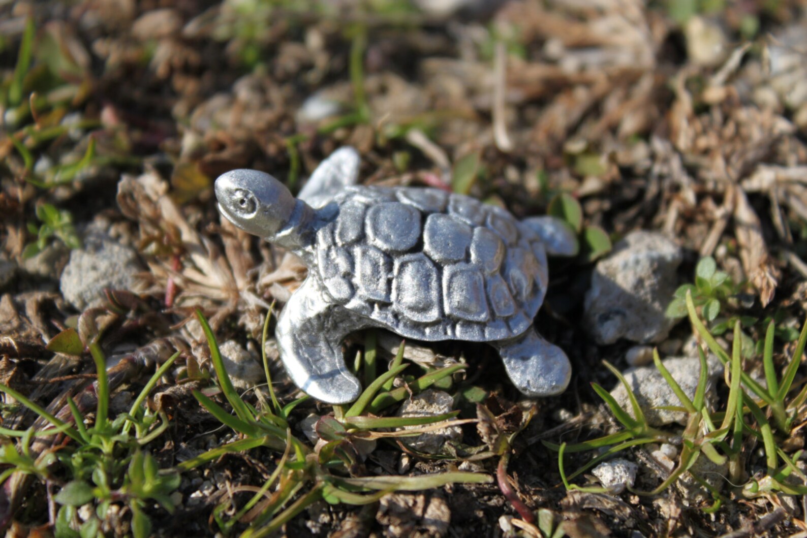 Hastings Pewter Lead Free Pewter Turtle Figurine Sea Turtle Gift Made ...