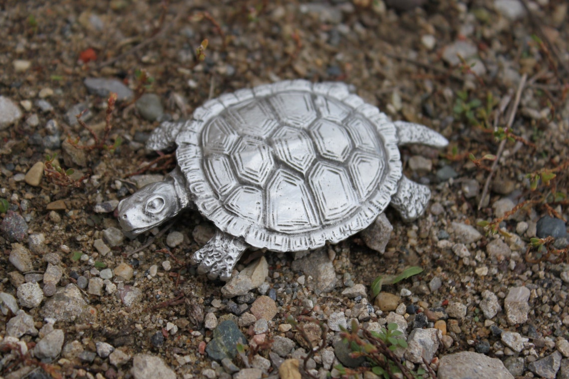 Hastings Pewter Company Lead Free Pewter Turtle Figurine Flat - Etsy