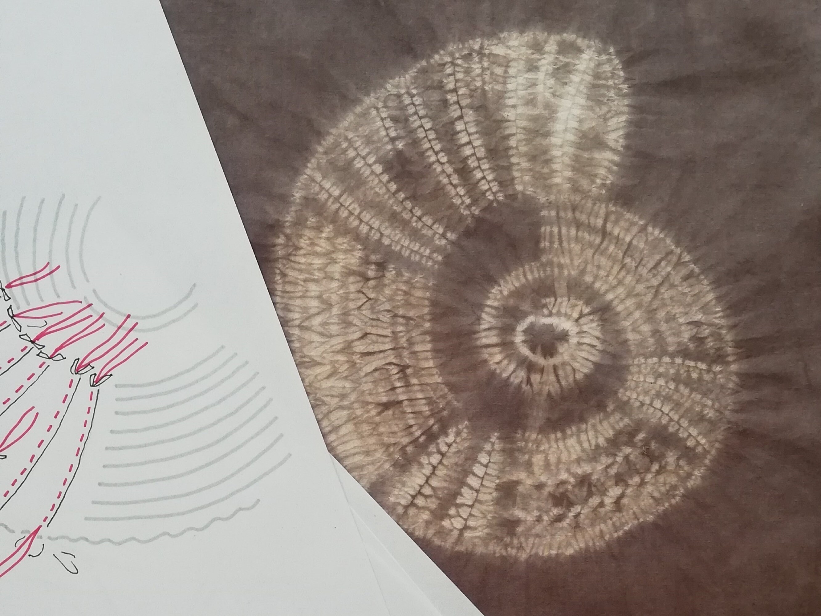 Shibori Ammonite, PDF Sewing Pattern, Digital Download, Shibori PDF ...